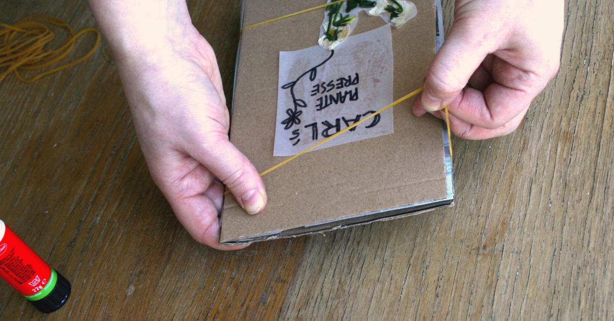 Make your own plant press | kb.dk