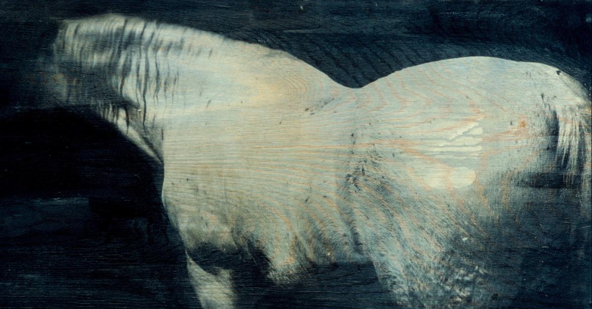 Rundvisning: Jytte Rex | www.kb.dk